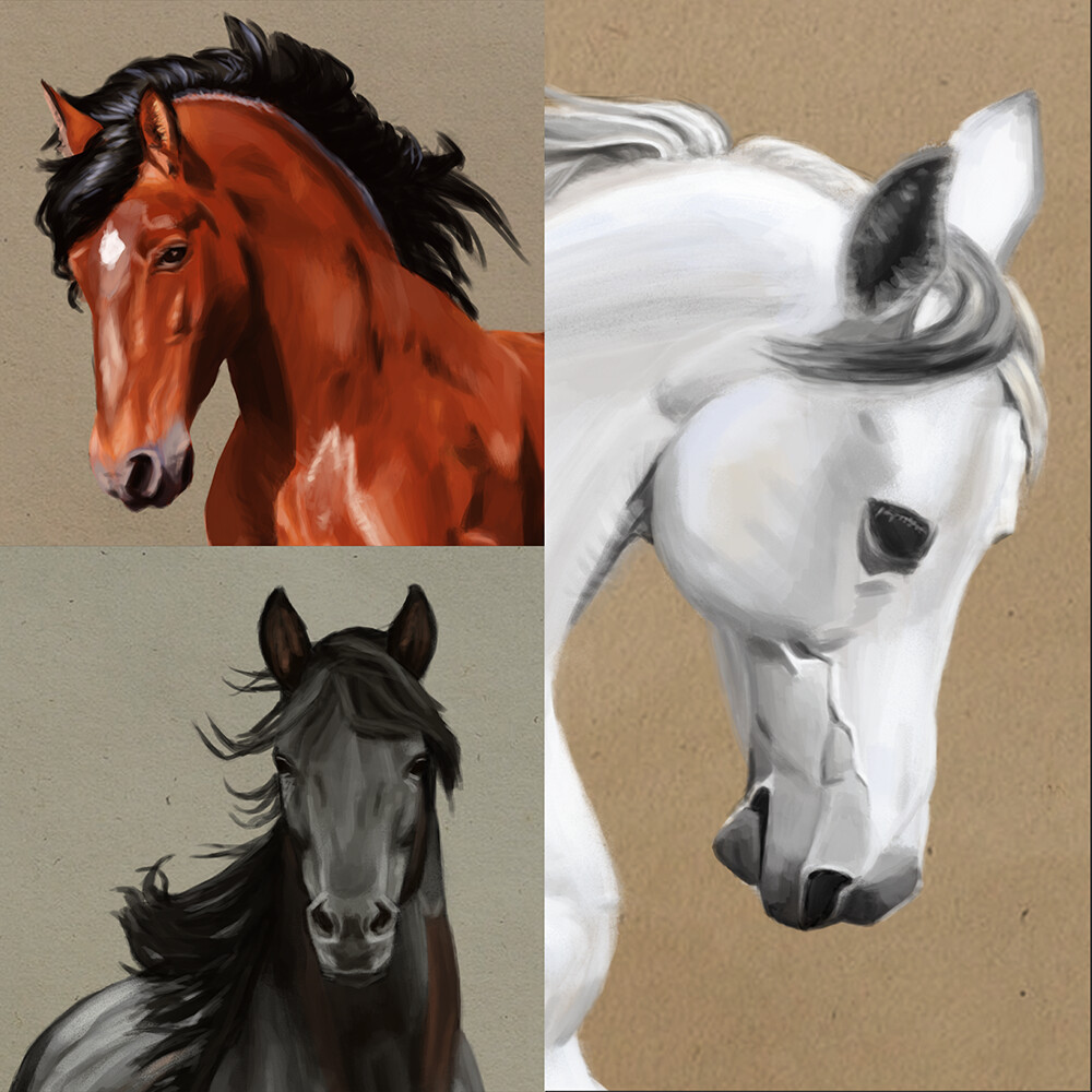 ArtStation - Horse Studies