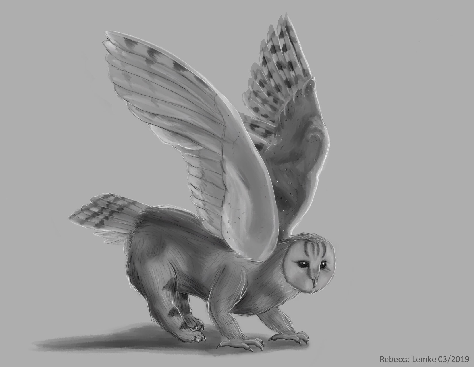 ArtStation - Creature Concept: Owl-Cat Hybrid