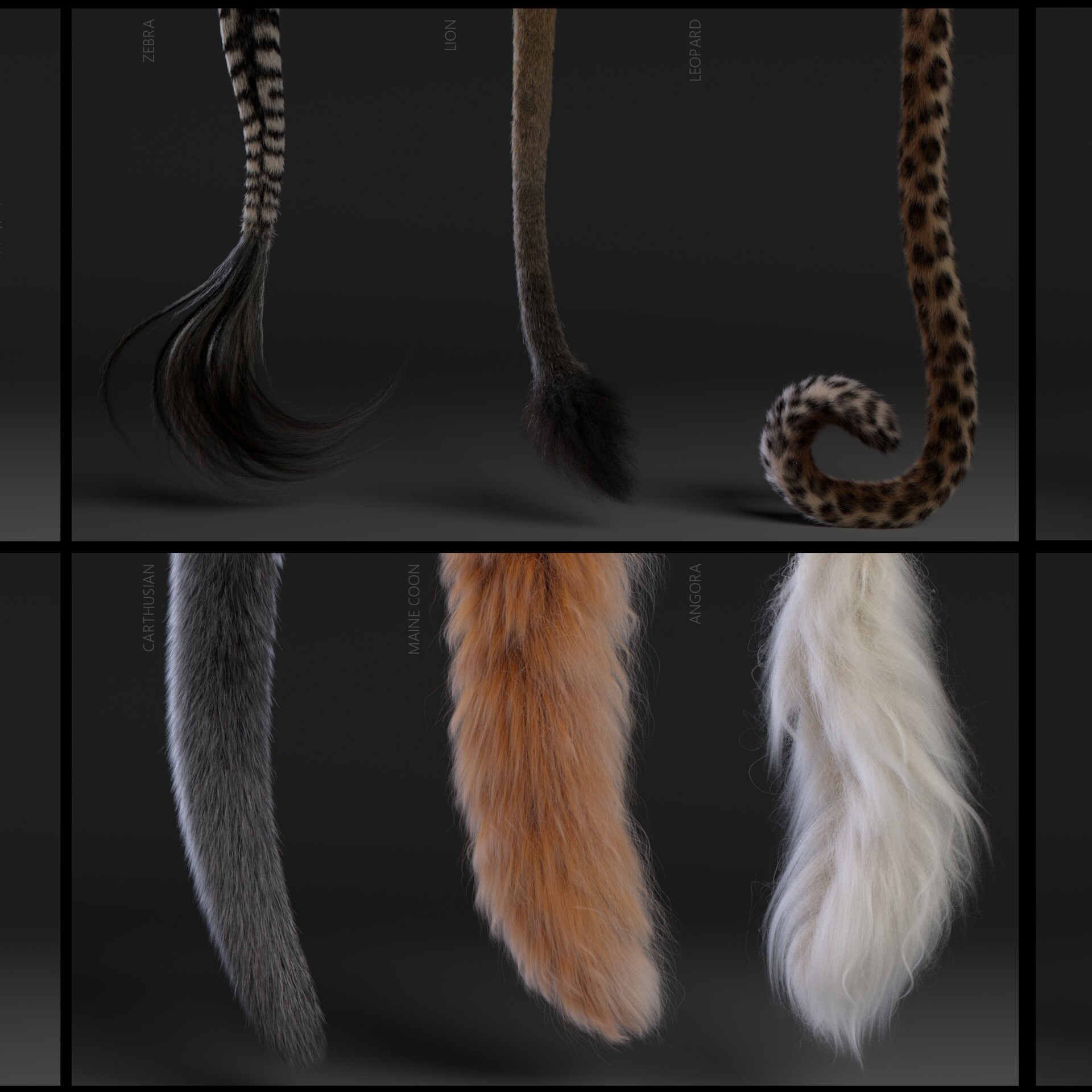 ArtStation - Tails