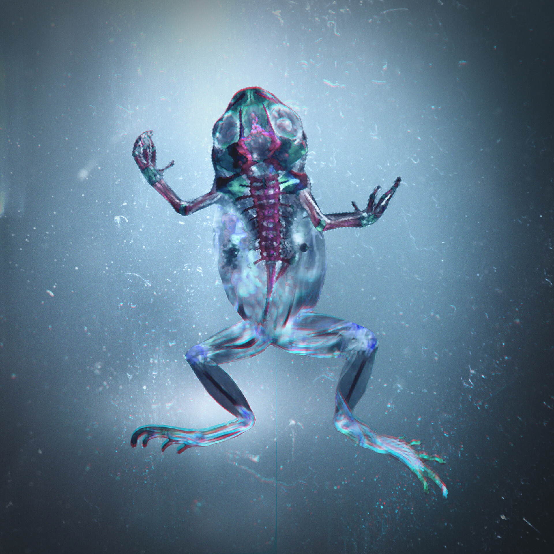 ArtStation - x ray frog
