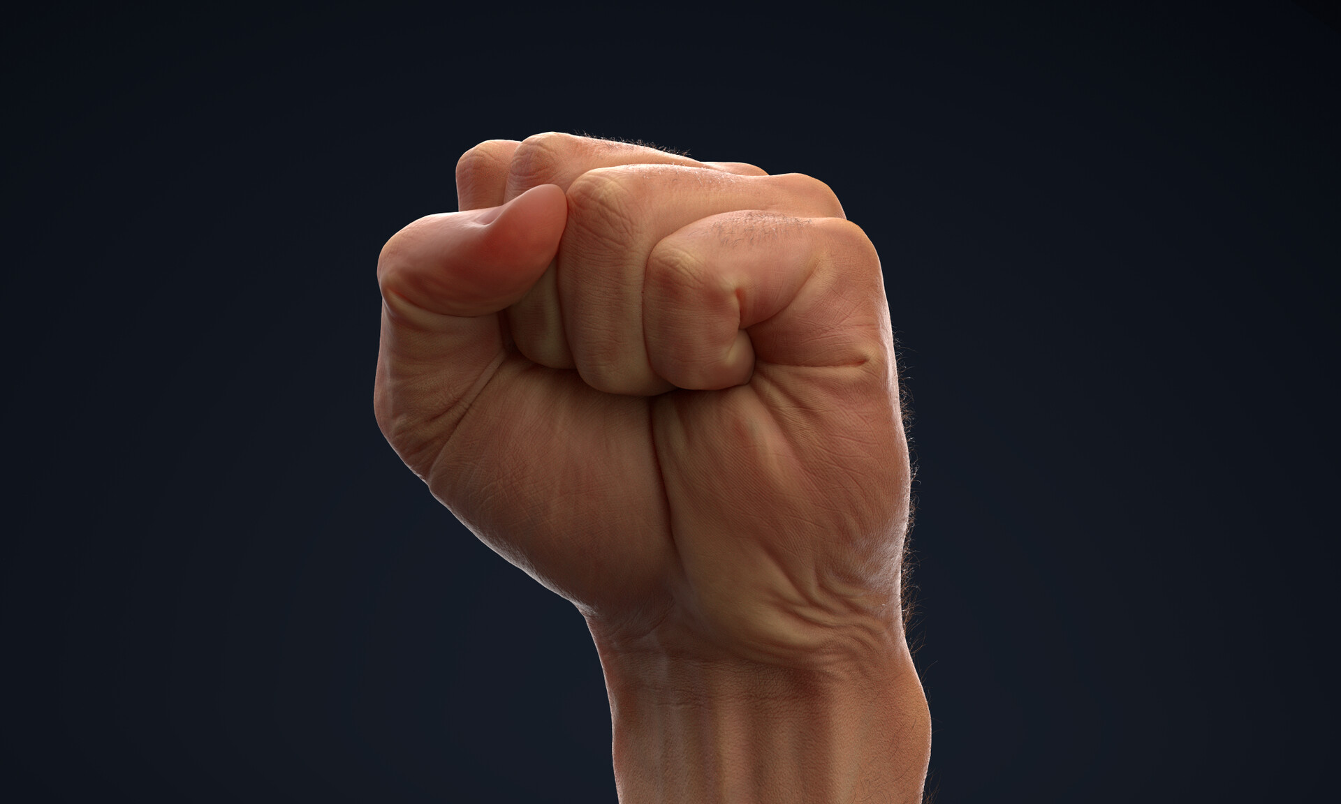 ArtStation - Hand Study - Clenched Fist