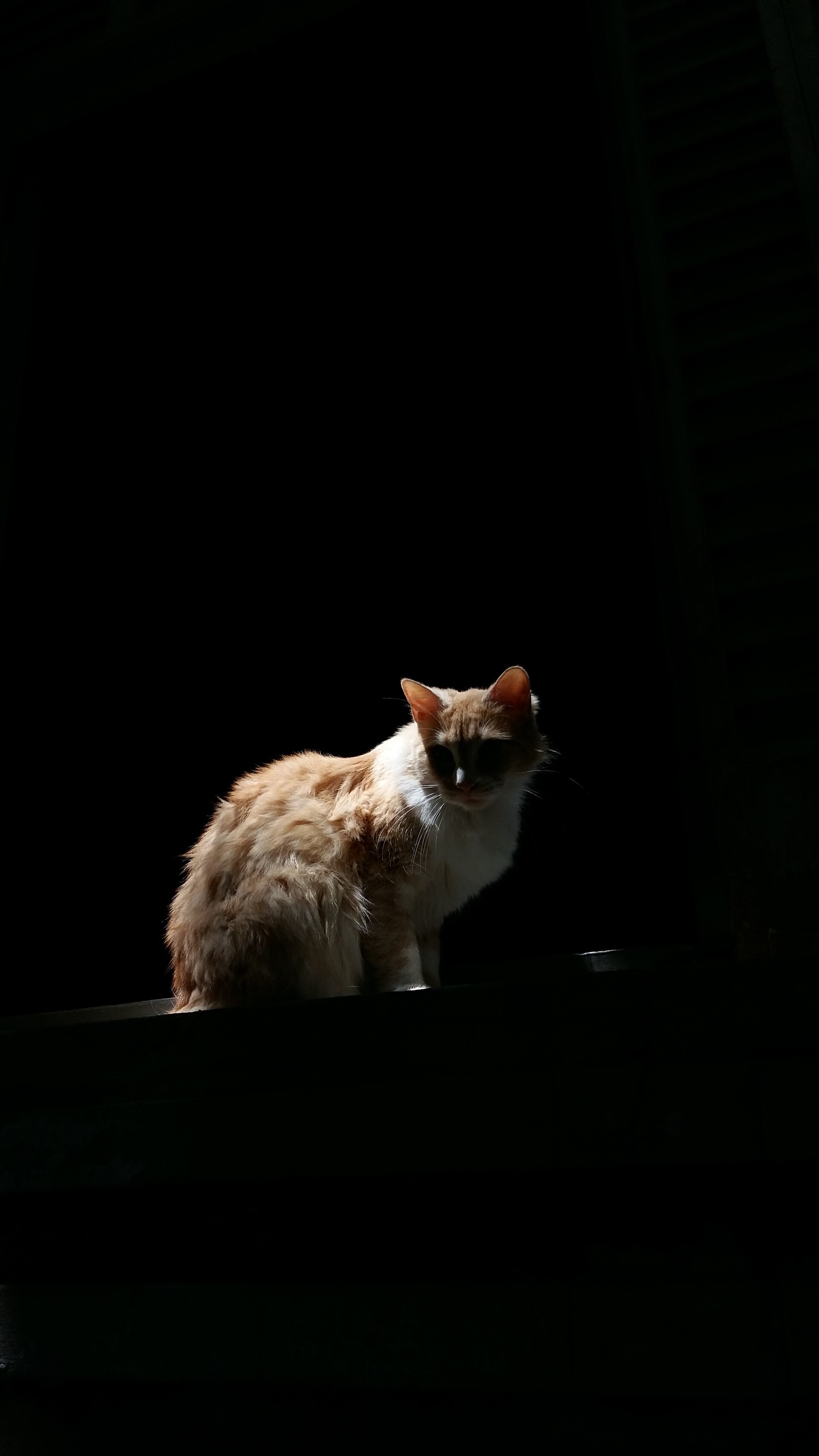 ArtStation - Late Night Bumps