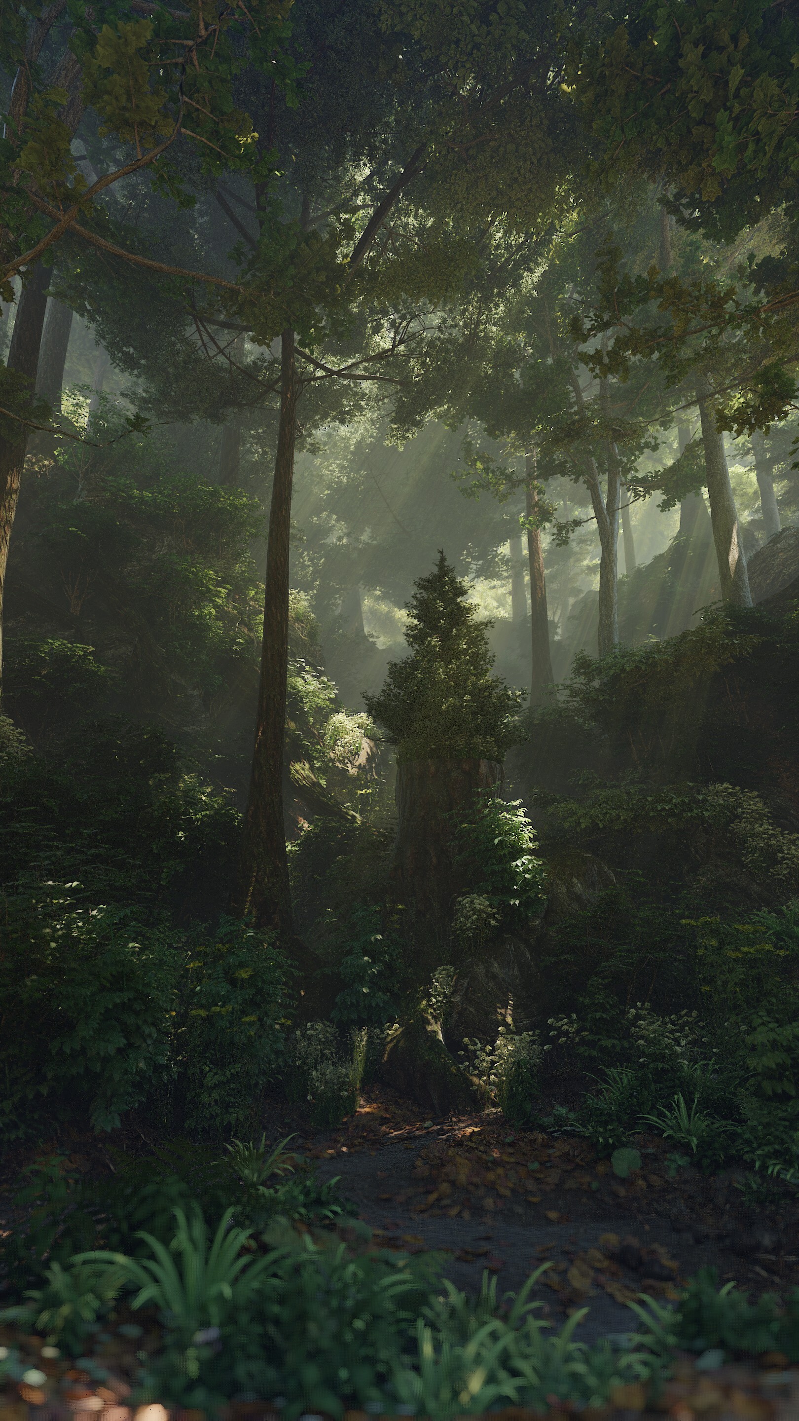 ArtStation - Forest Path