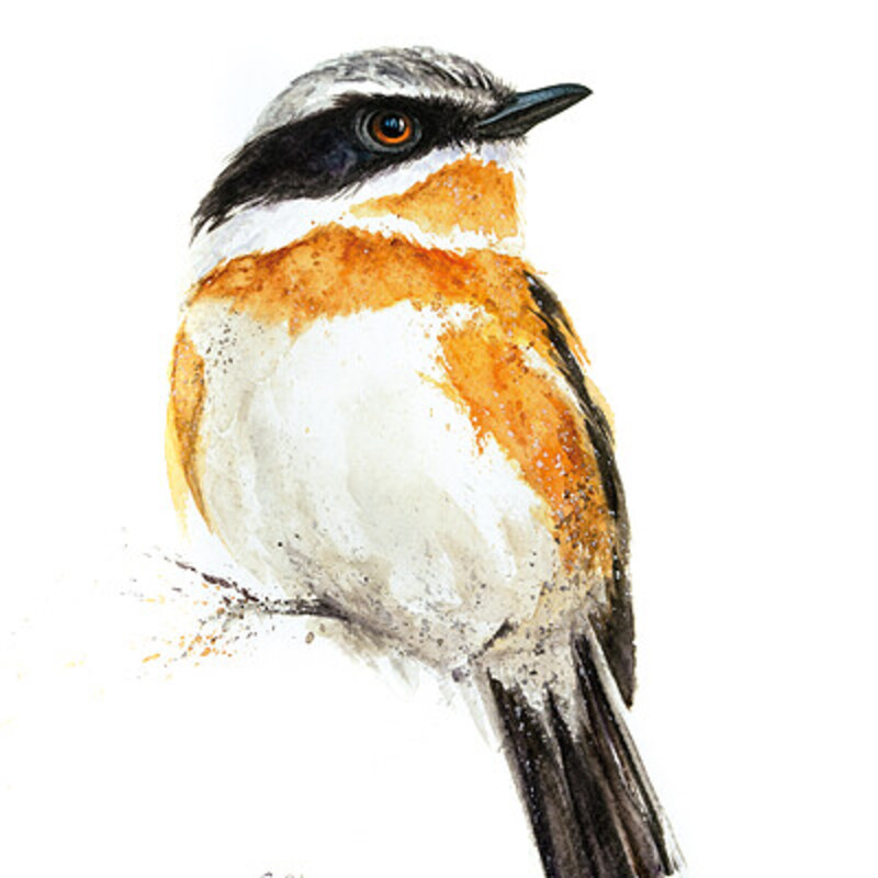 ArtStation - Andre Olwage