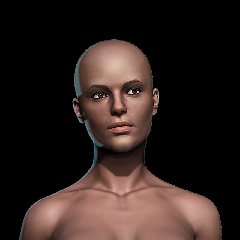 ArtStation - Female Anatomy