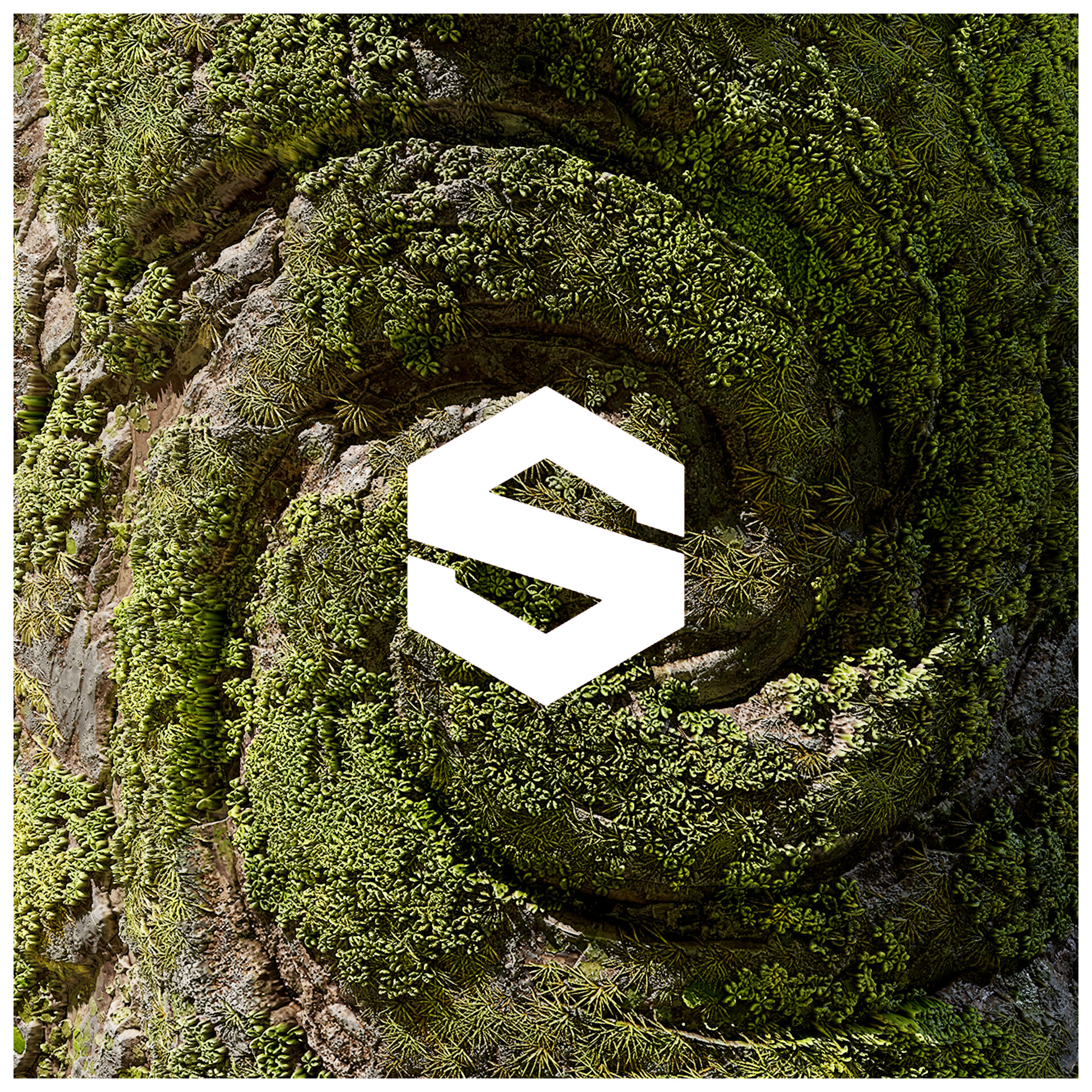 ArtStation - Fantasy Moss Stone - Substance Designer 2020