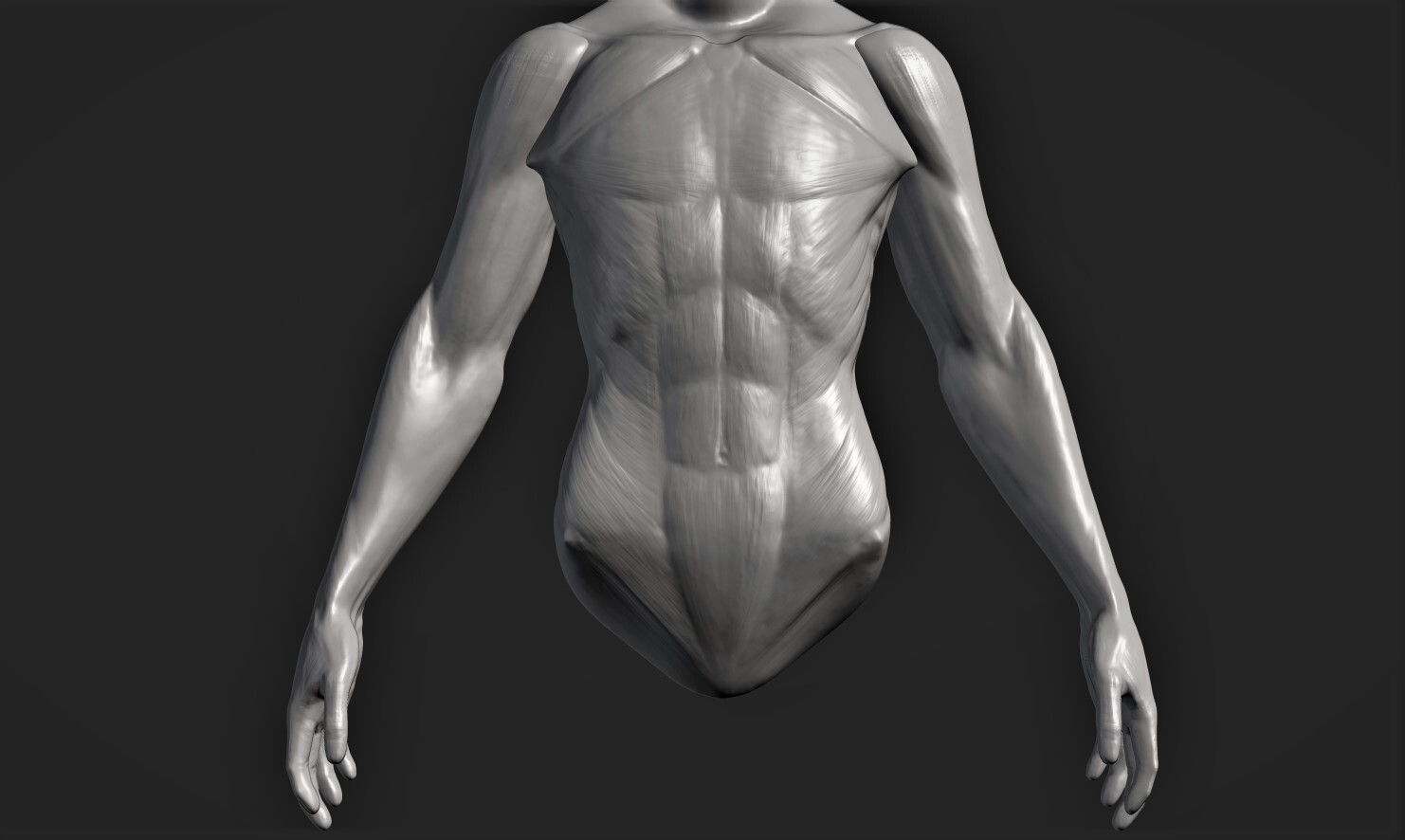 ArtStation - WIP Female Character