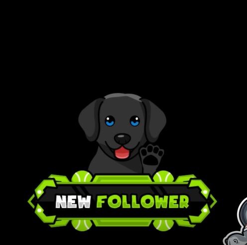 ArtStation - Animated Follower Alert