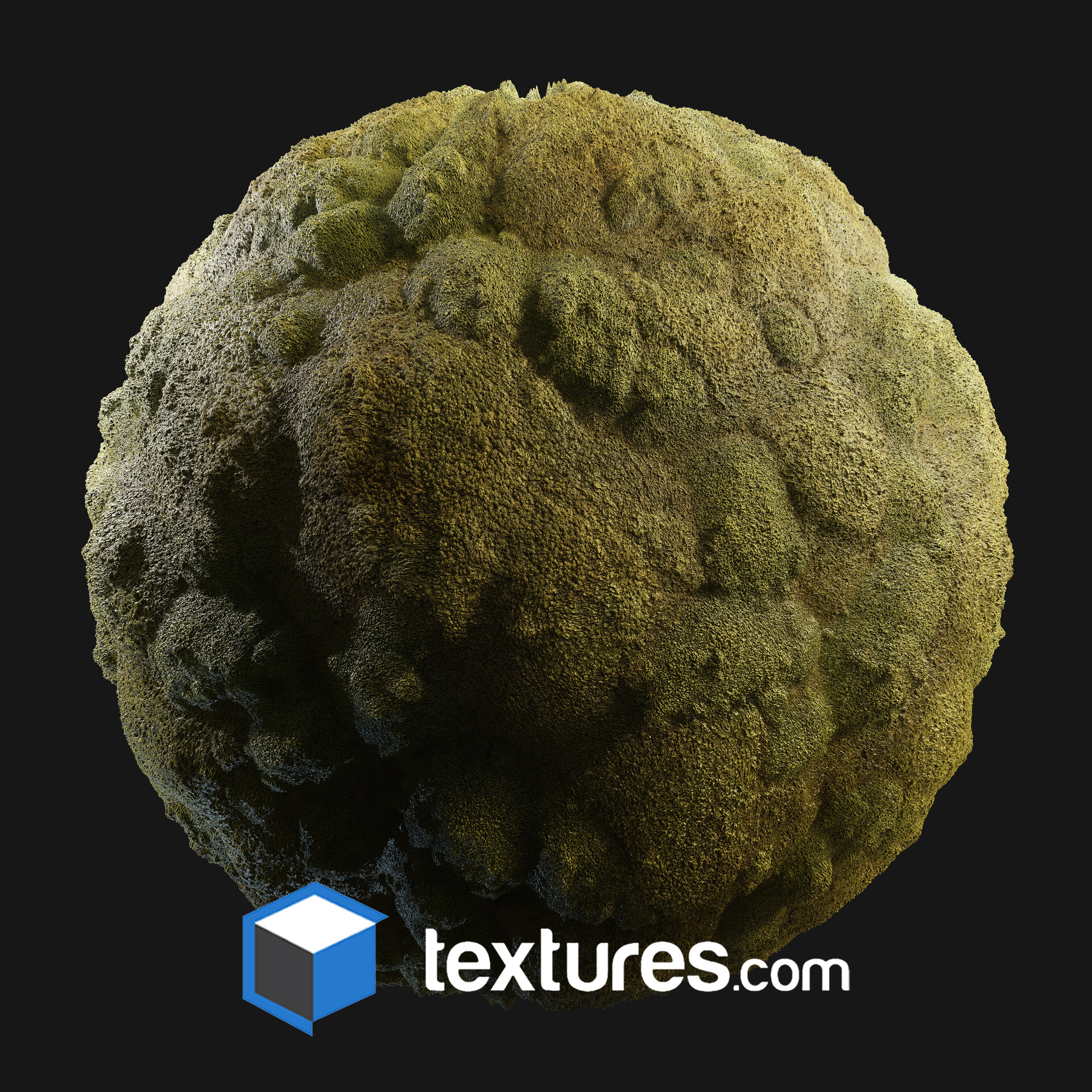 ArtStation - Iceland Moss