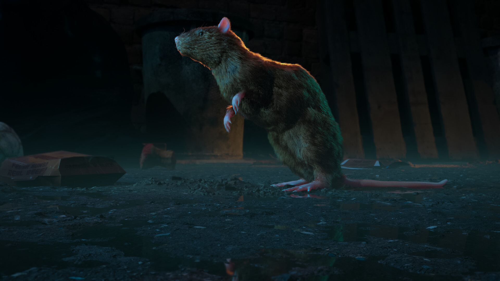 ArtStation - Rat