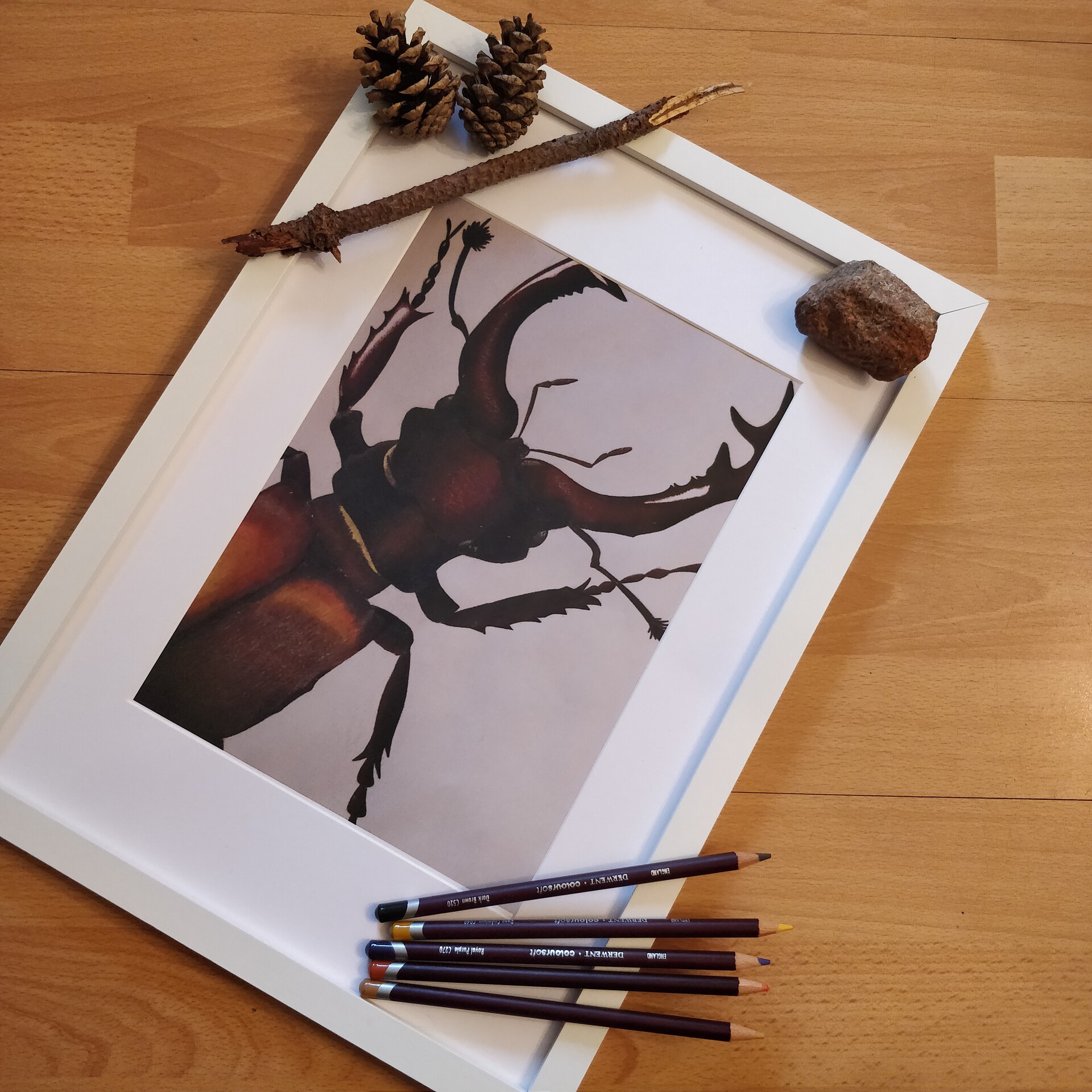 ArtStation - Stag Beetle