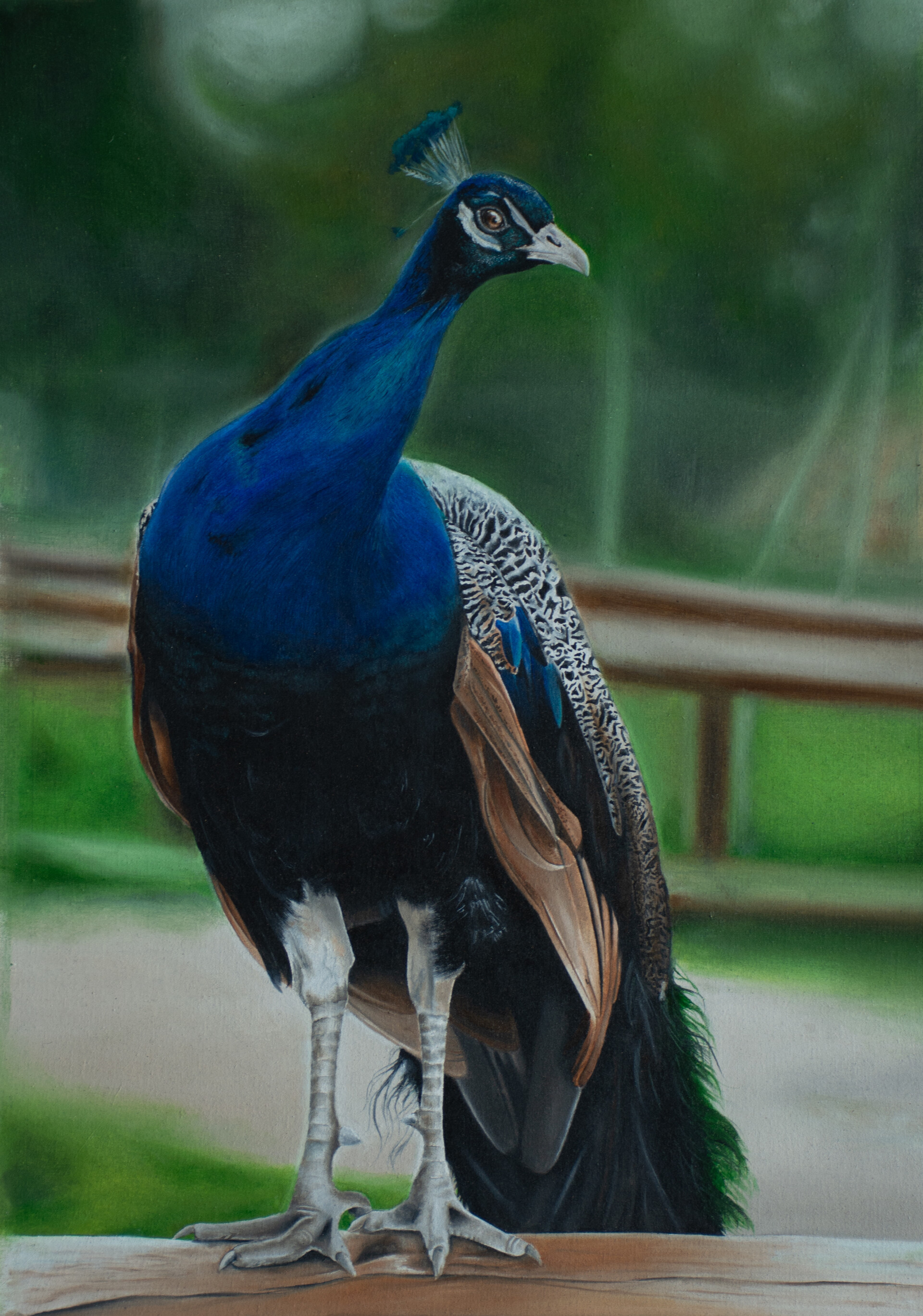 ArtStation - Peacock Oil painting