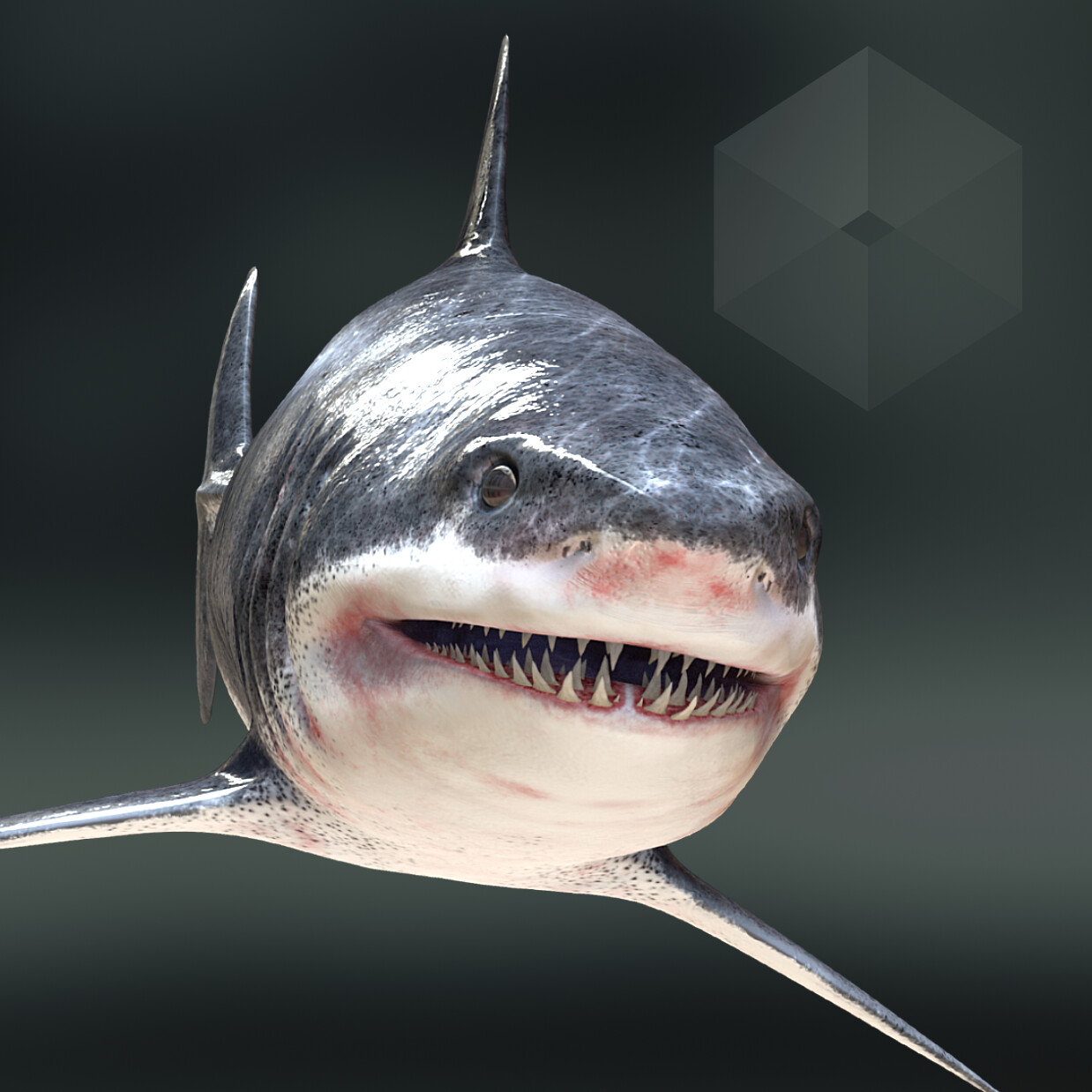 Roman Mrazek - Prehistoric shark - Oxyrhina