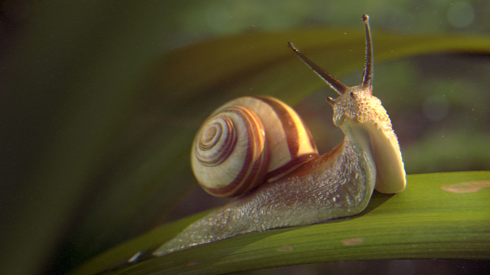 ArtStation - snail