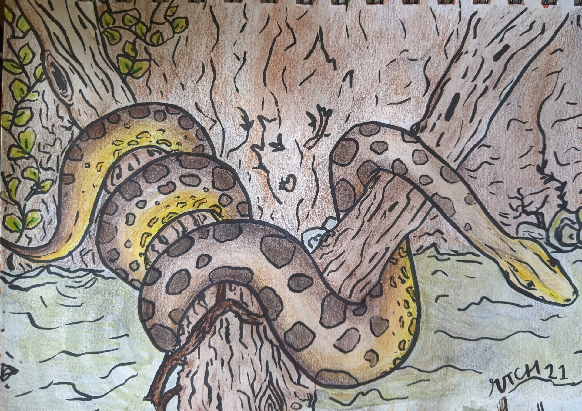 ArtStation - Anaconda