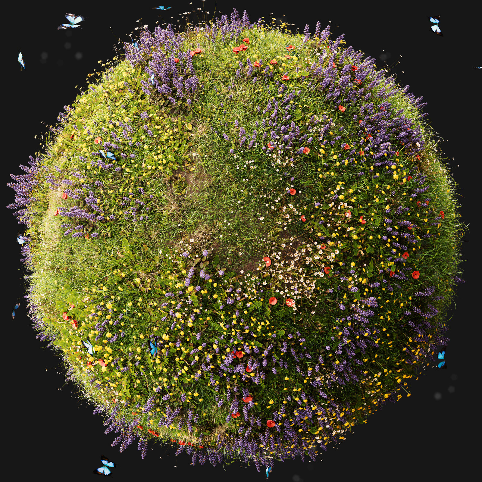 Kai "Kizzle" Mergener