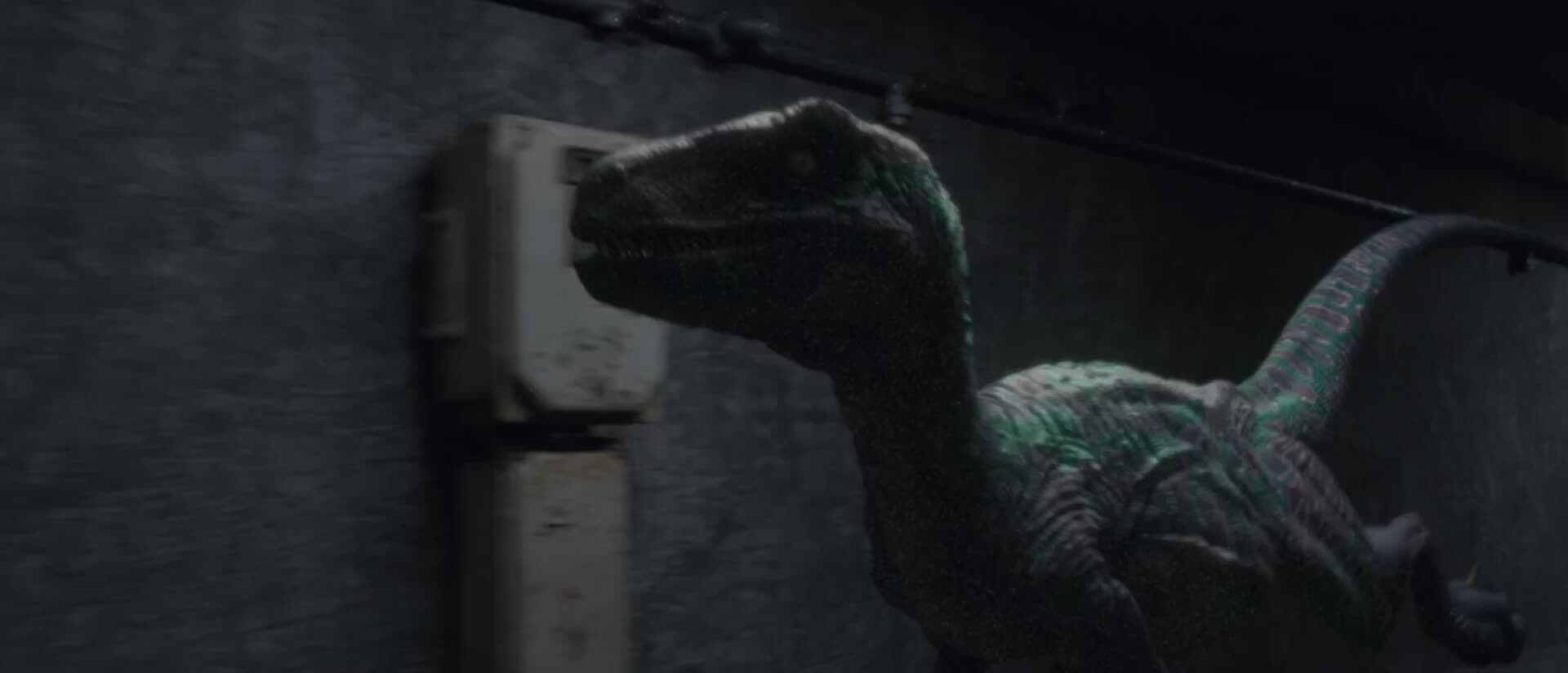 ArtStation - Raptor Animated scene