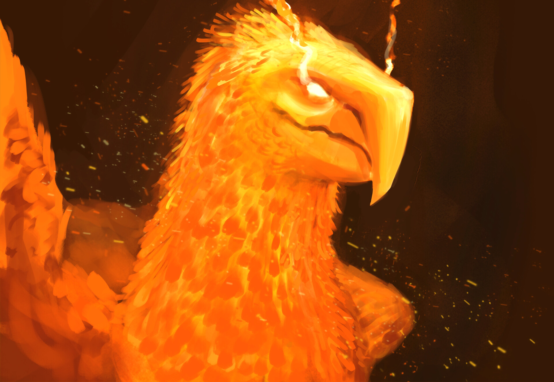 ArtStation - Water and Fire | Elemental Griffin #1