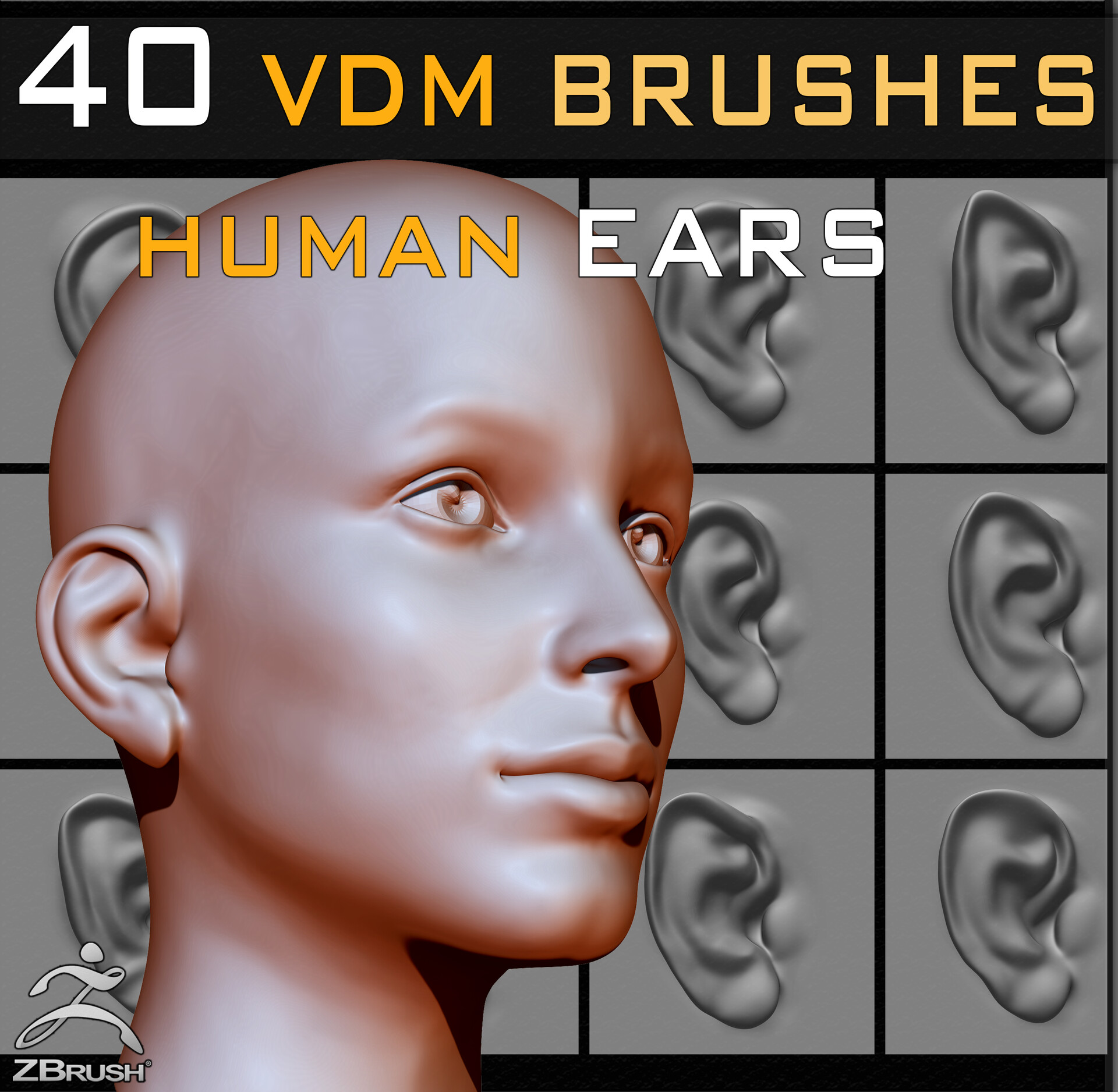 ArtStation - 40 Zbrush VDM Human Ears Brushes