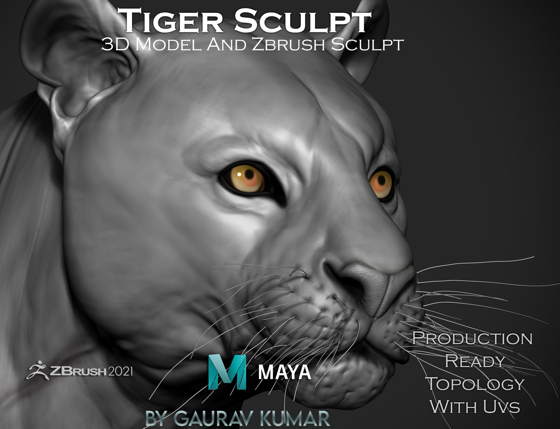 ArtStation - Tiger anatomy sculpt