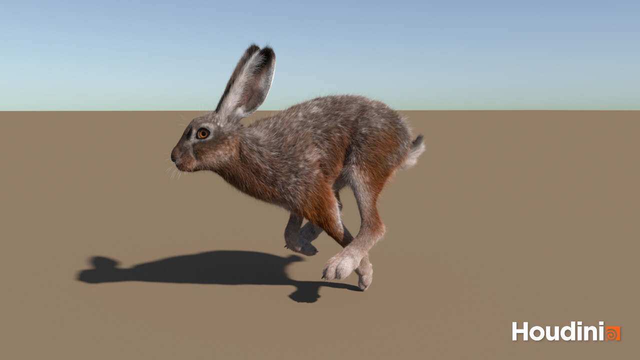 ArtStation - CG Hare personal project