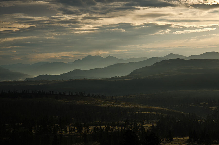 ArtStation - Photography