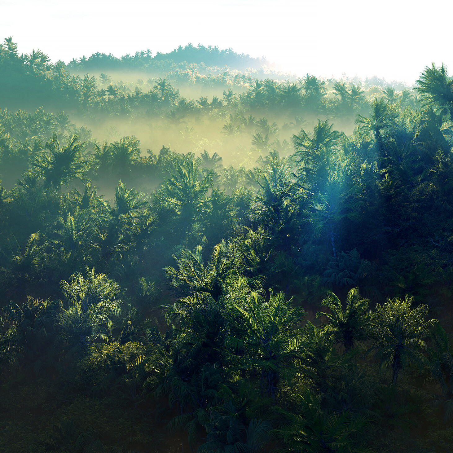 ArtStation - Tropical Environment Scene with EnvIt, Maya and SpeedTree