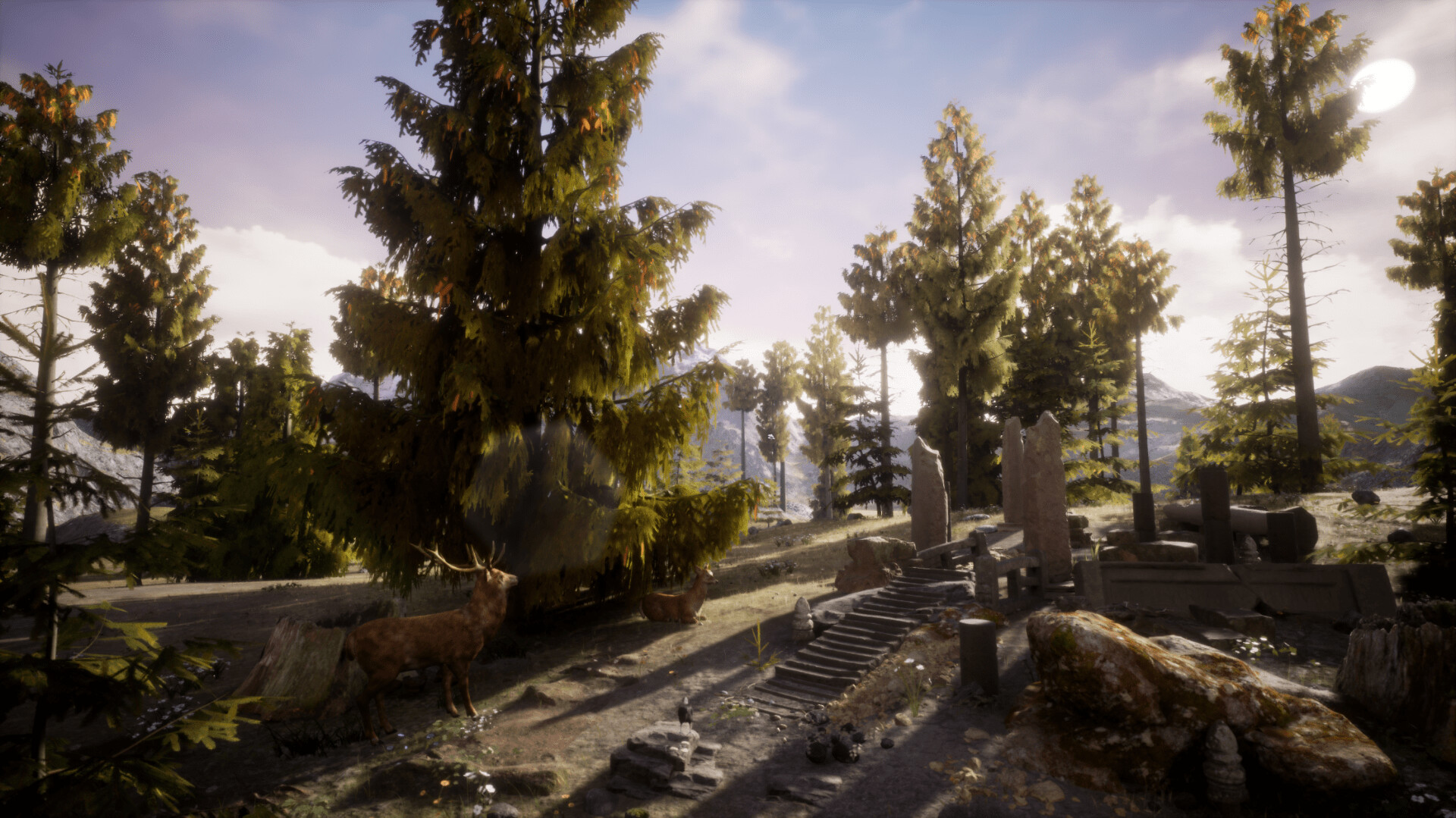 ArtStation - Unreal Engine Forest Scene- Level Design