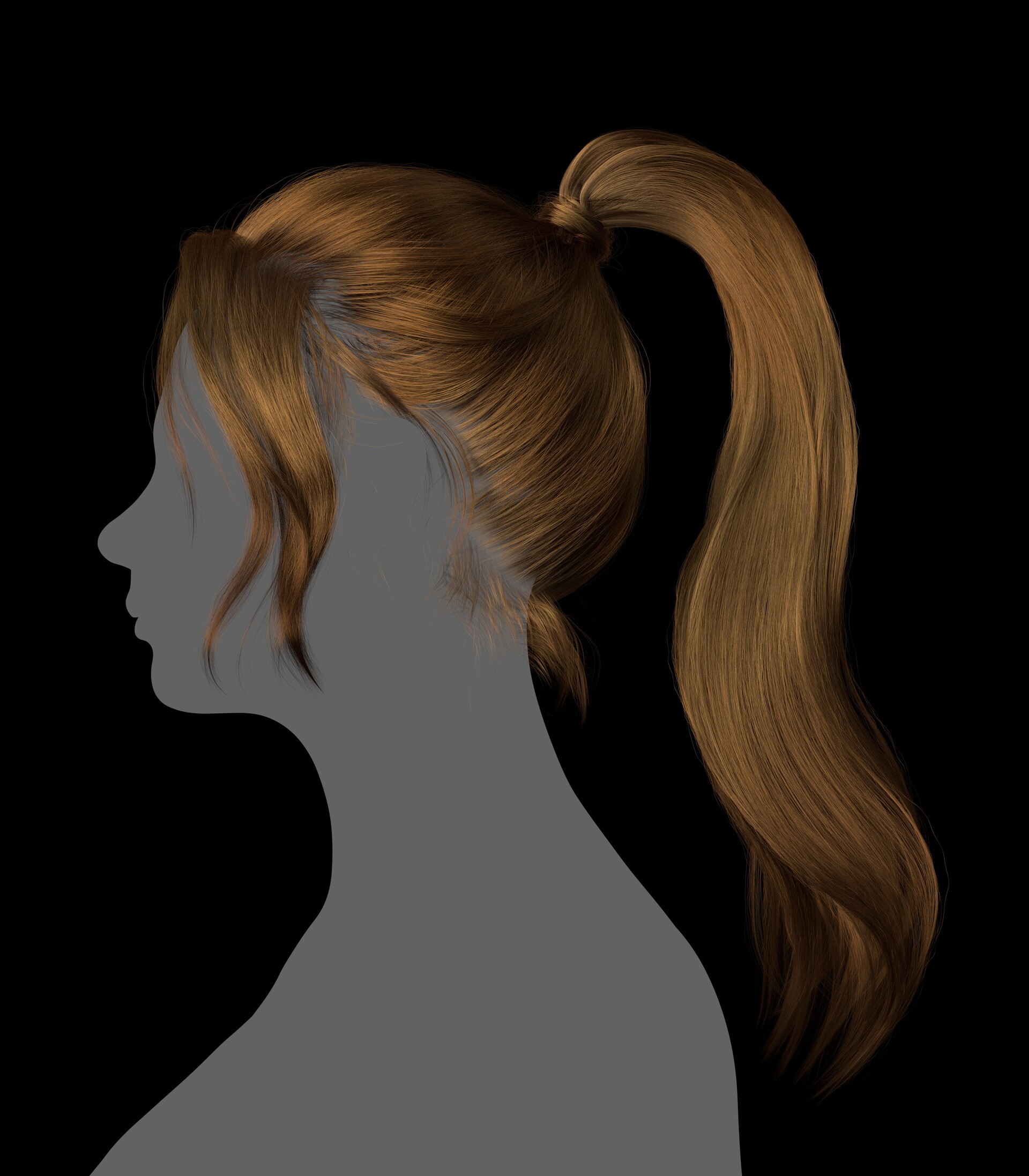 ArtStation - Ponytail Hair