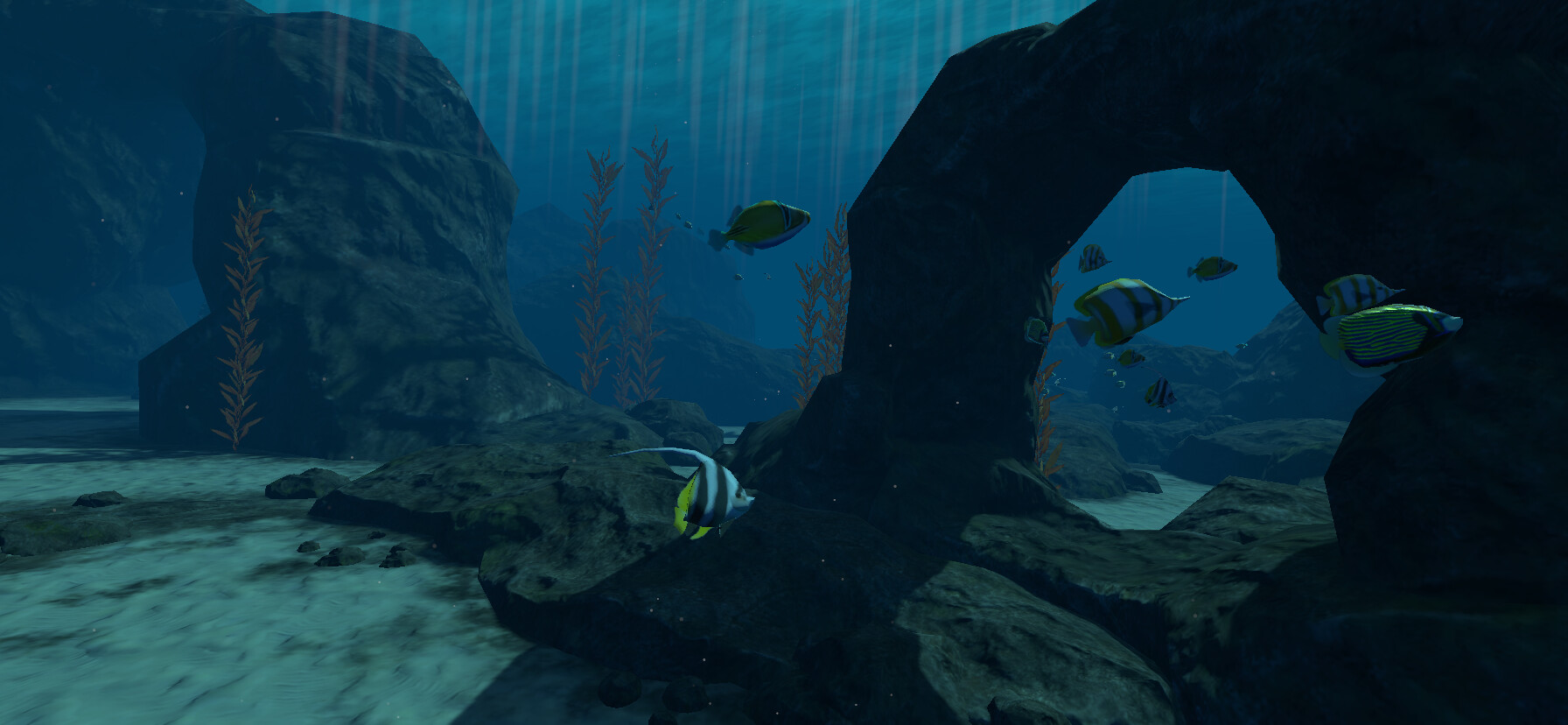 ArtStation - Released Mobile VR App: Let's Explore Oceans - Oceanscape