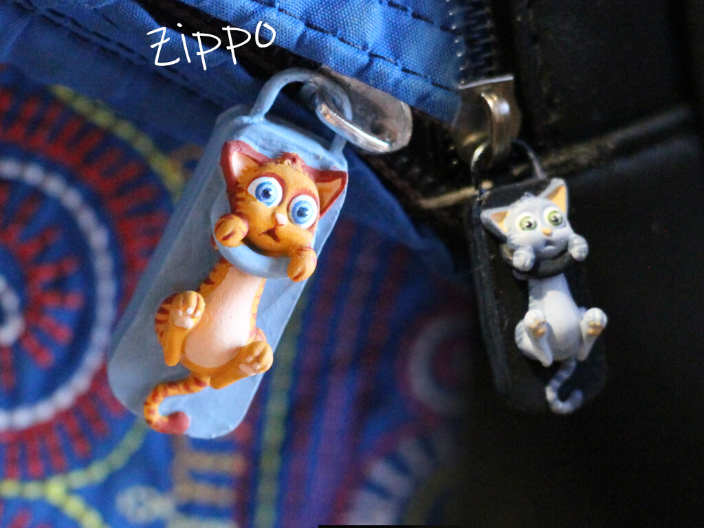 ArtStation - Zippo the cat