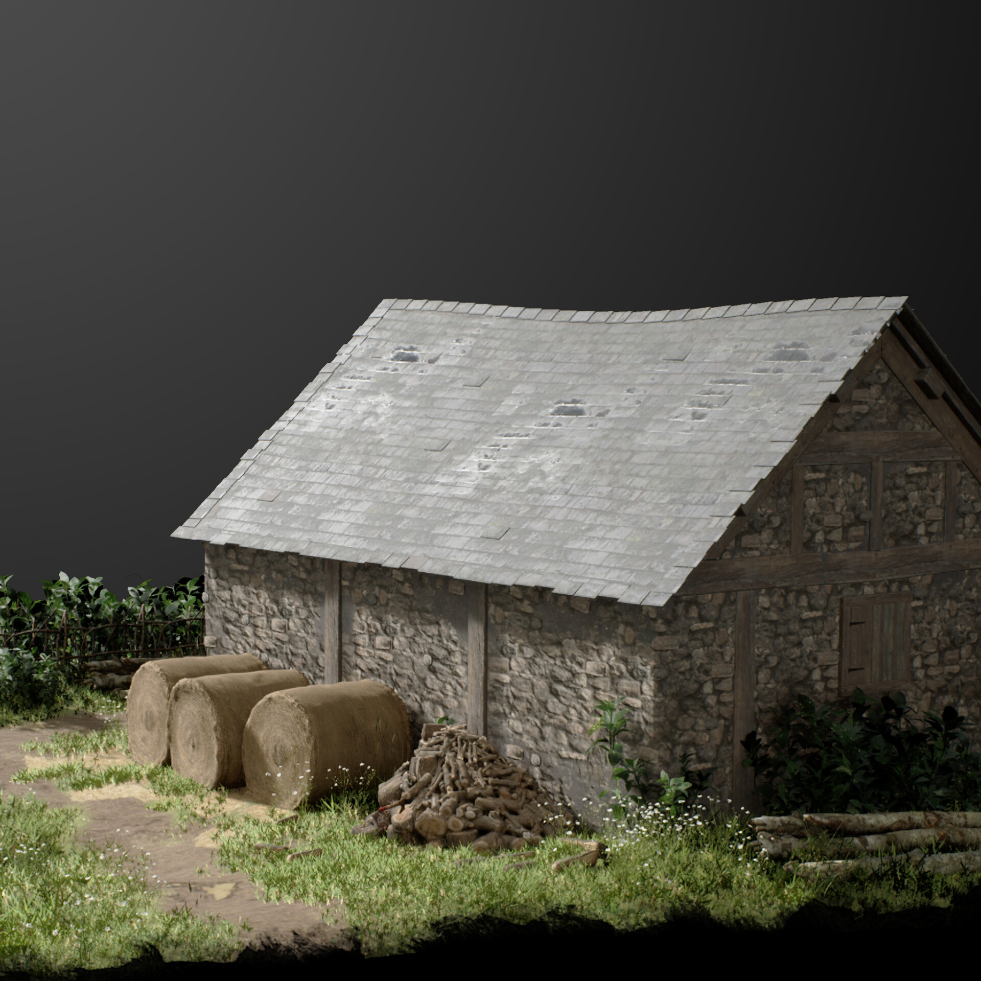 Carl Sims - Farm Diorama - Art Test