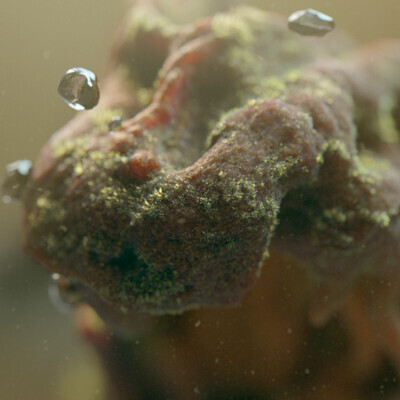 ArtStation - Murky Water Color Study