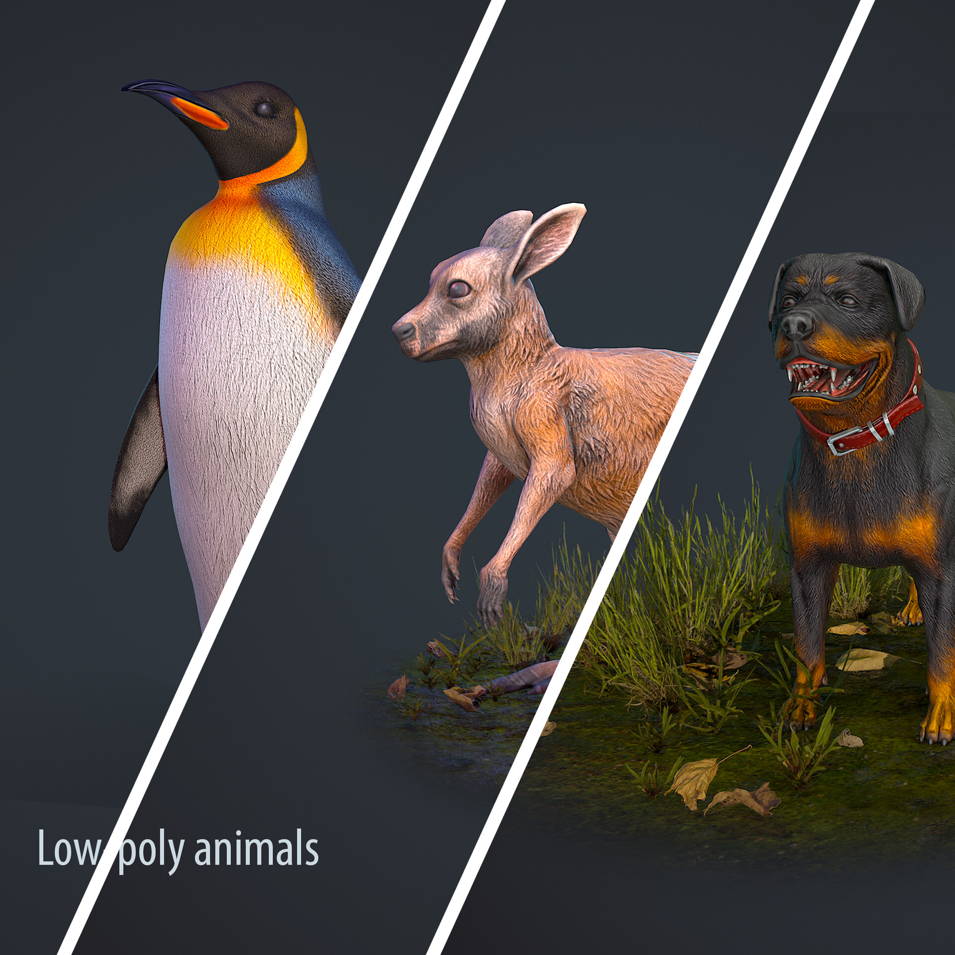 ArtStation - lowpoly wild animals