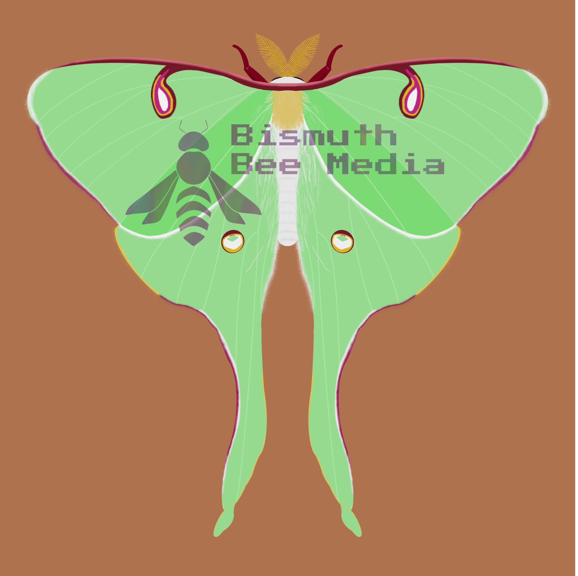 ArtStation - Luna Moth