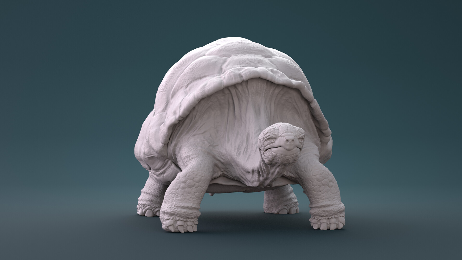 ArtStation - Tortoise