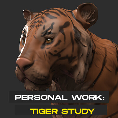 ArtStation - TIGER STUDY