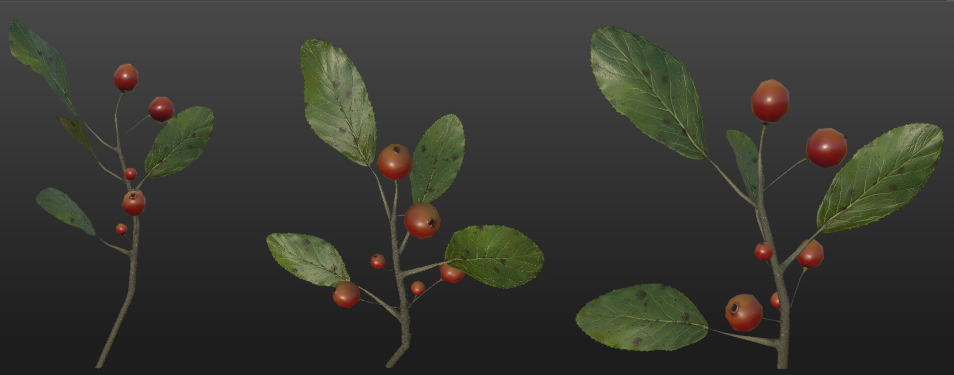 ArtStation - Plants Study