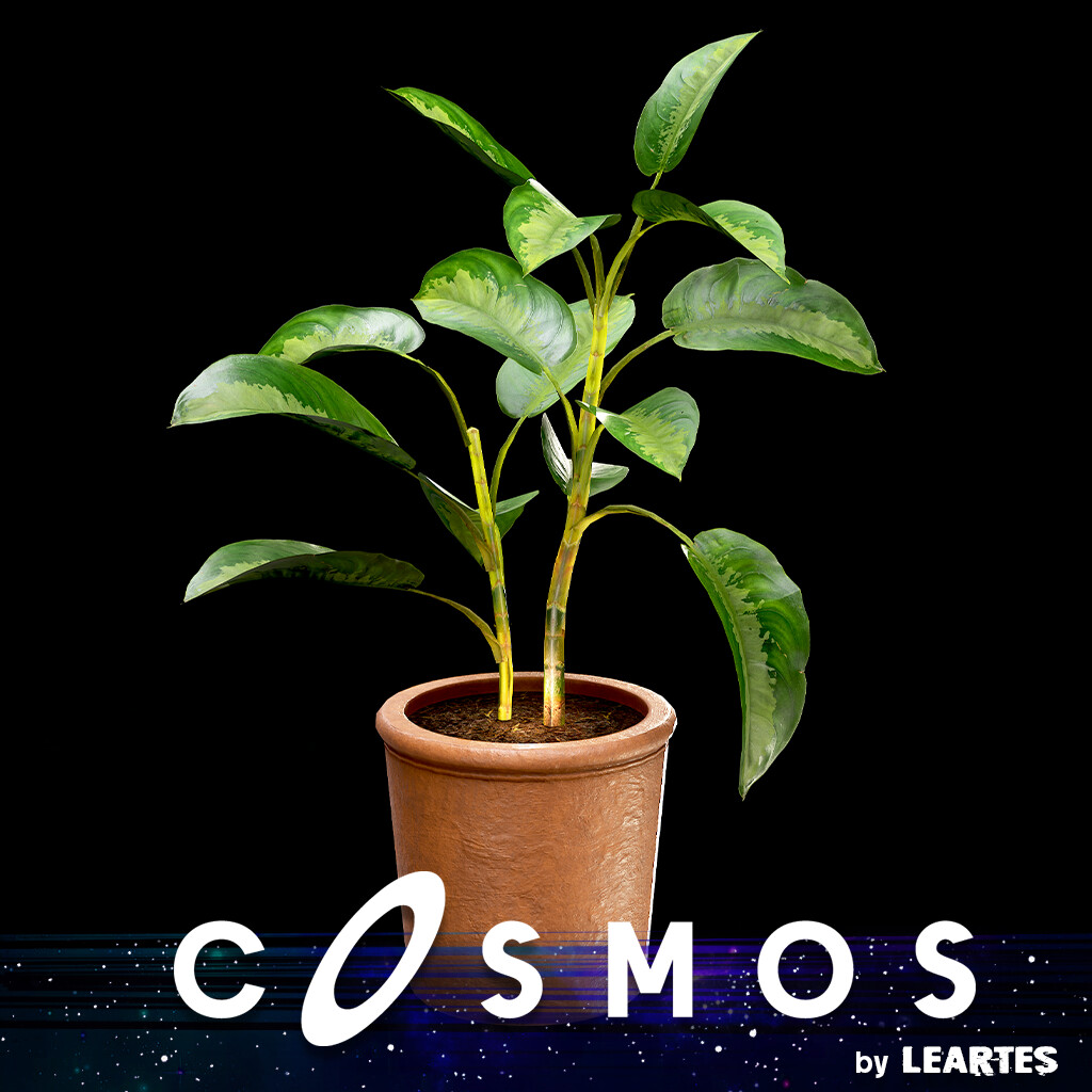 ArtStation - Flower Pot / Cosmos by Leartes