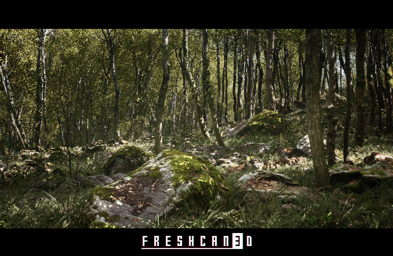 ArtStation - Procedural Oak Forest - Unreal Engine 4 - Spring