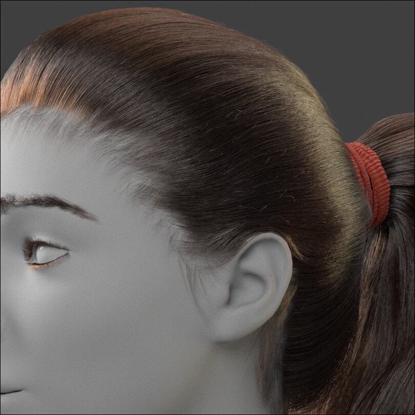 ArtStation - Ponytail Grooming study