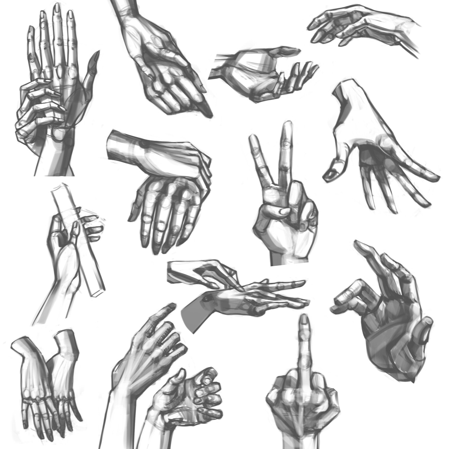 ArtStation - Study materials: Hand