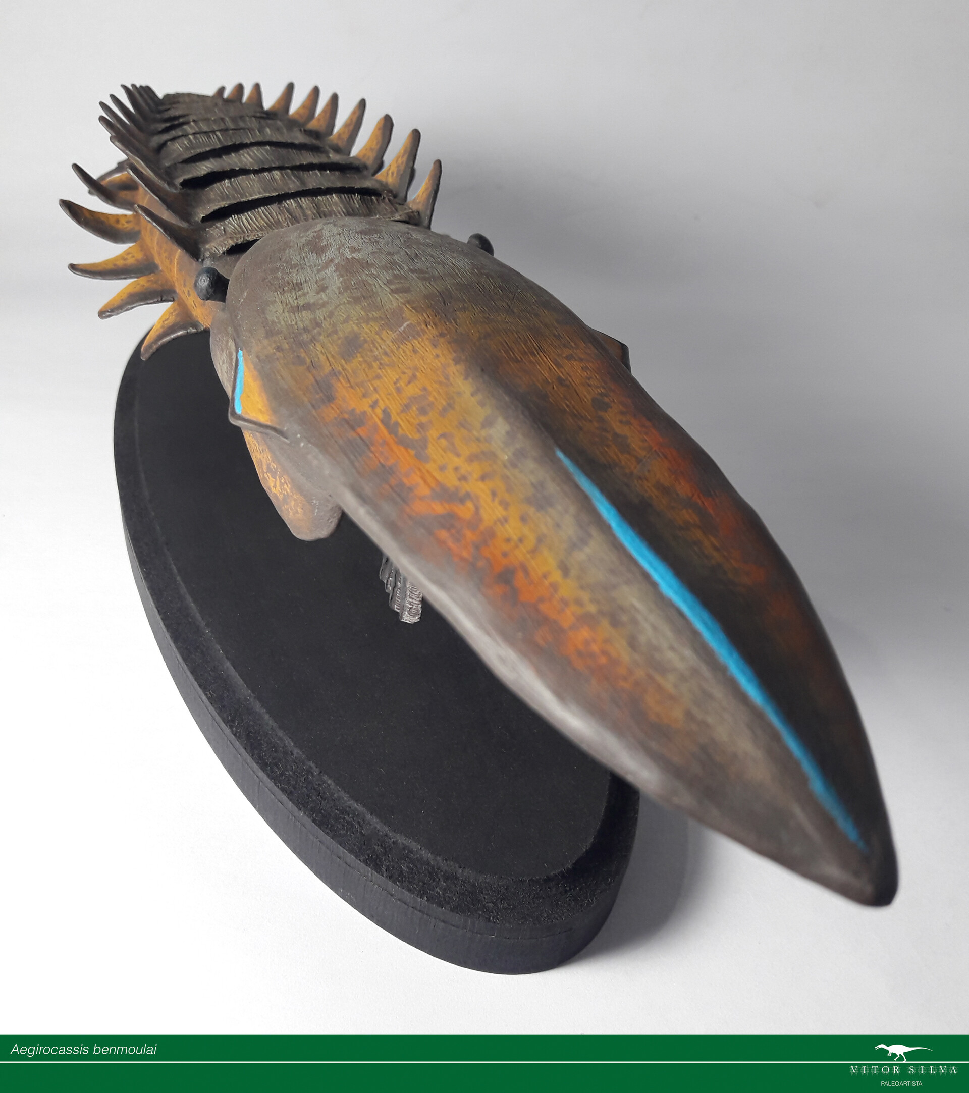 ArtStation - Aegirocassis