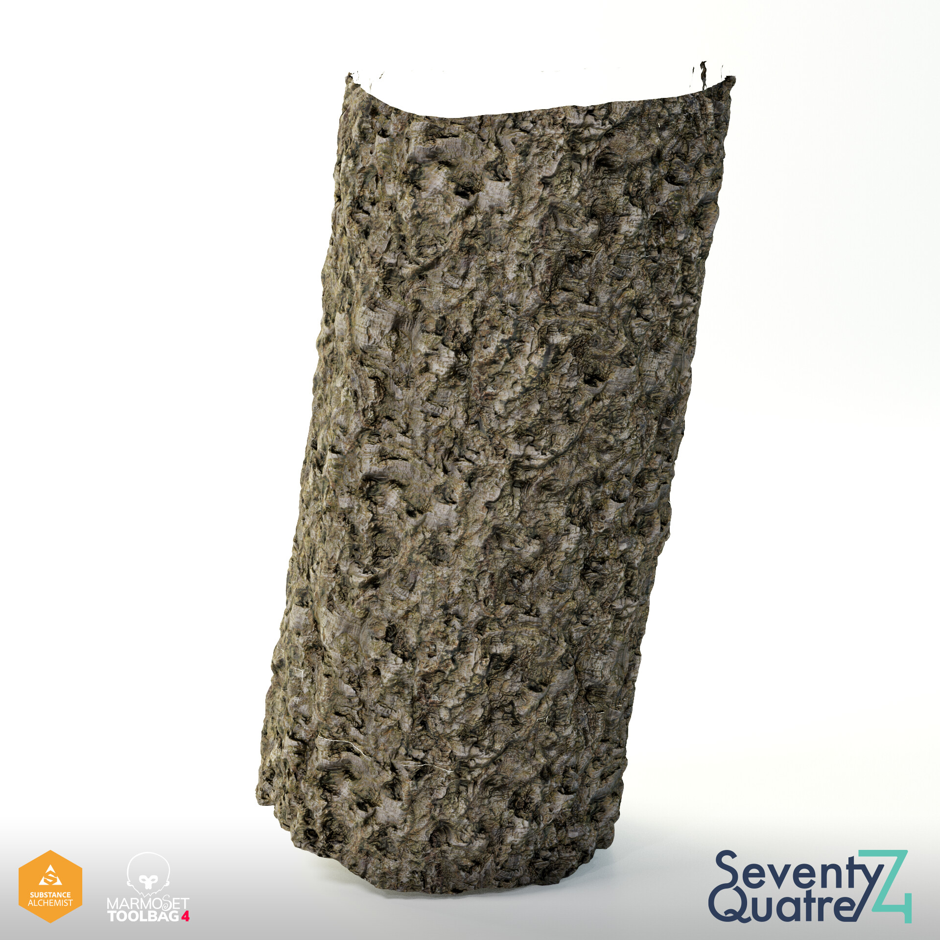 ArtStation - Cork tree