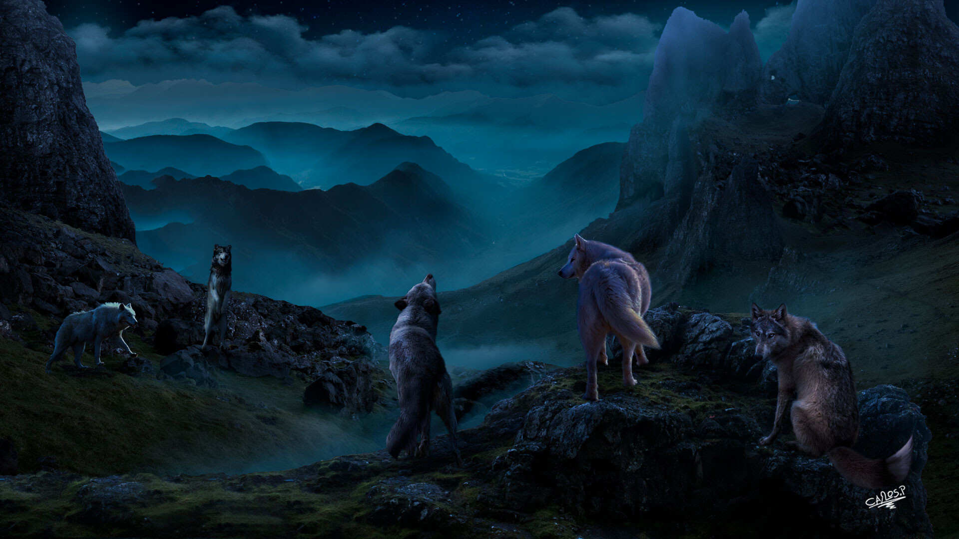 Carlos Poveda - Wolves in it's habitat