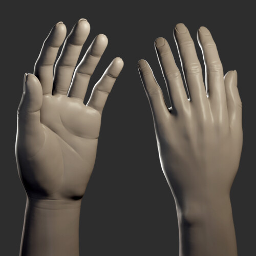 Andrea Su - Hand study