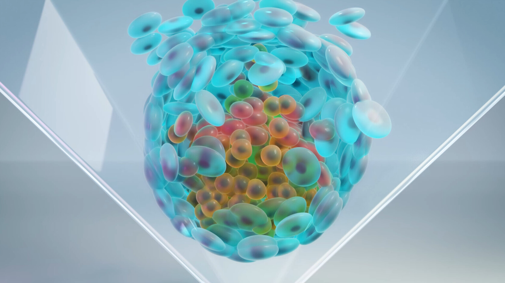 ArtStation - iBlastoid Animation