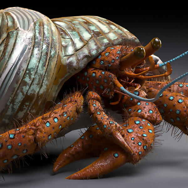 ArtStation - Hermit Crab