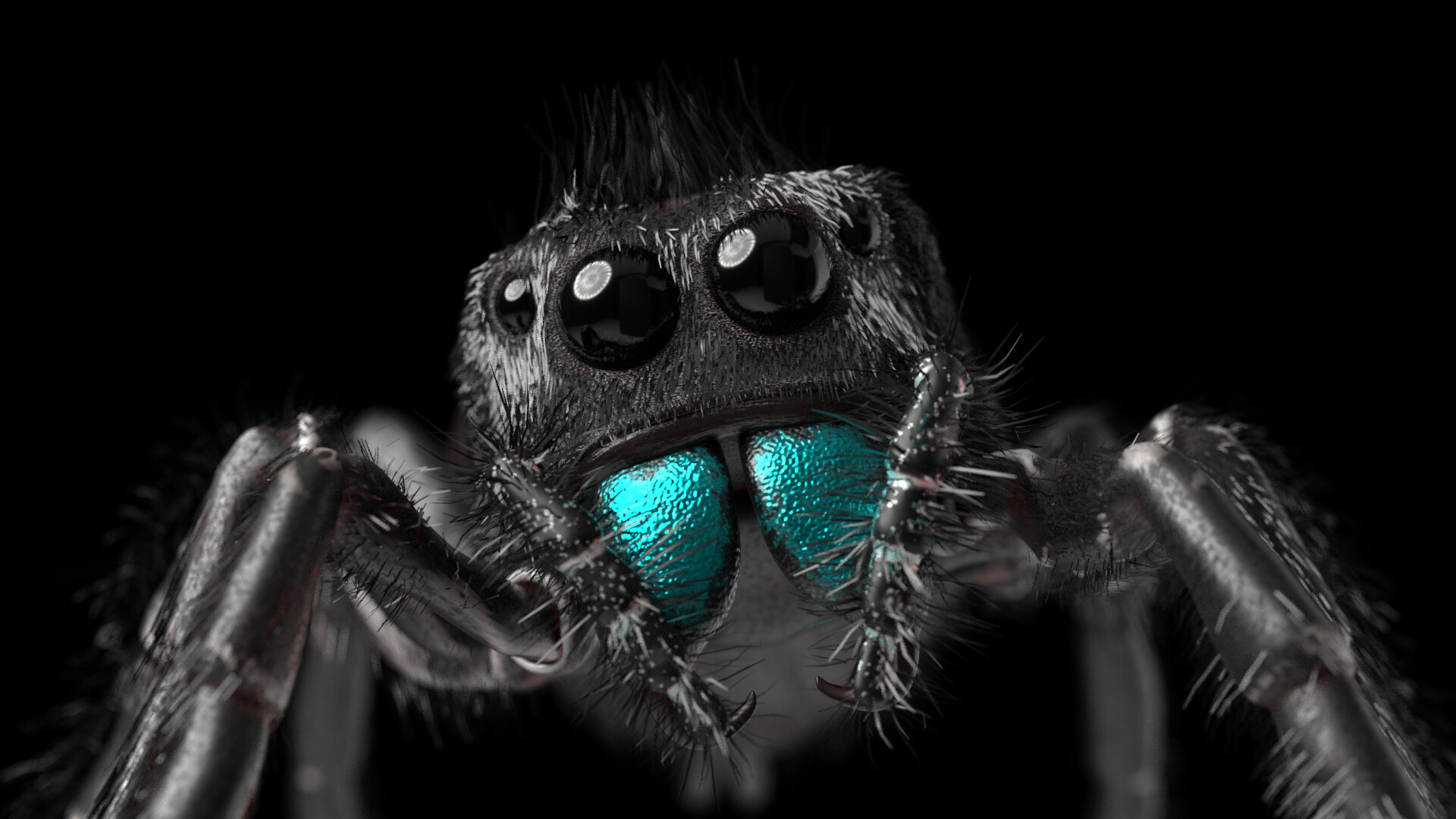 ArtStation - Jumping Spider
