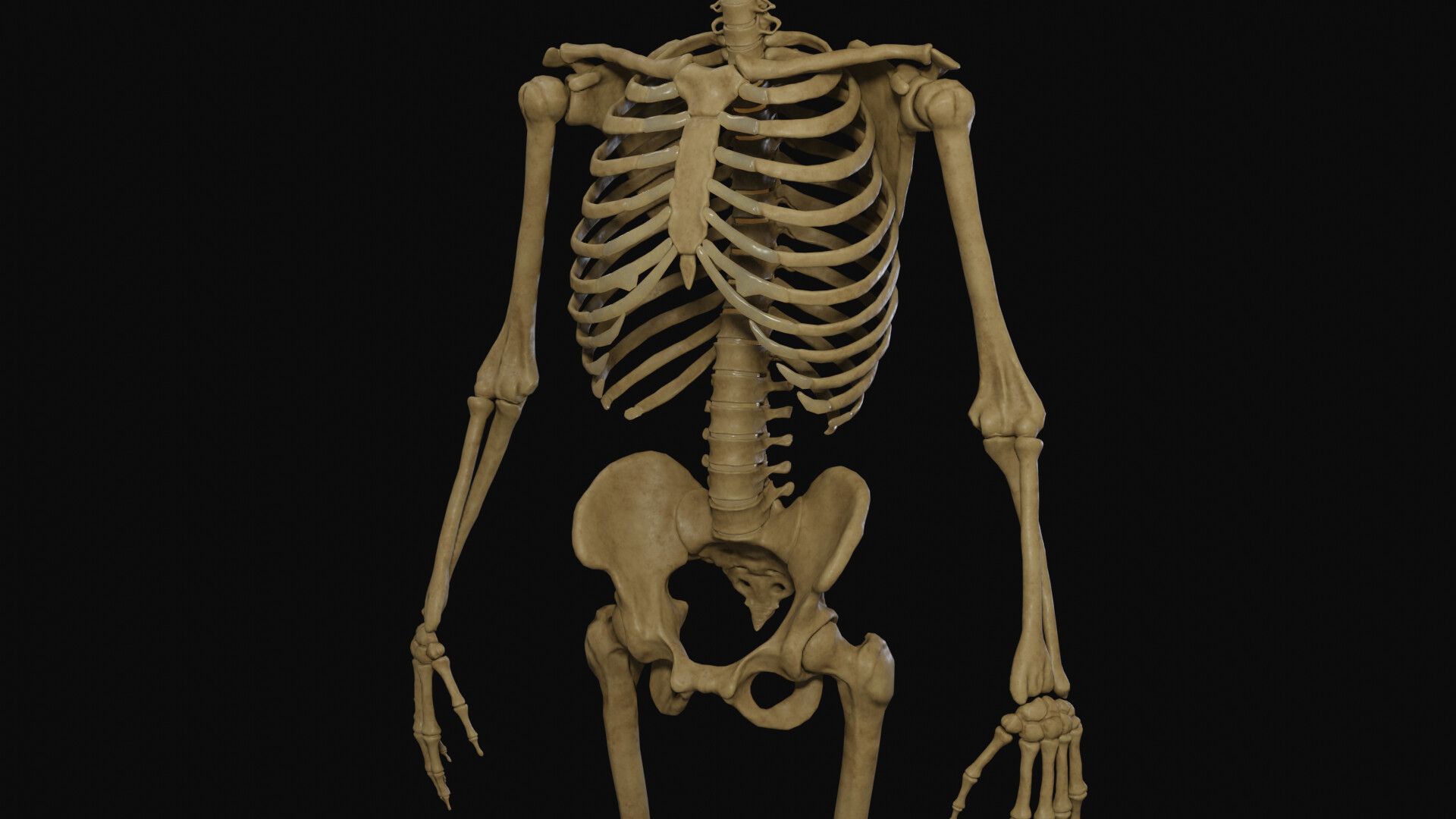 ArtStation - SKELETON